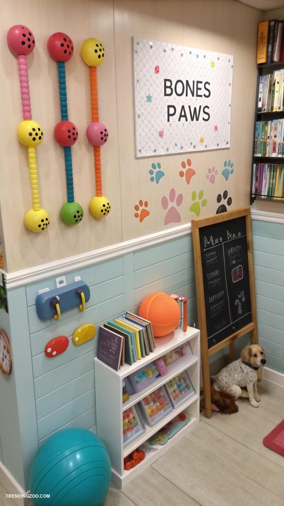 10 Pawsome Doggie Room Ideas To Go Wild!
