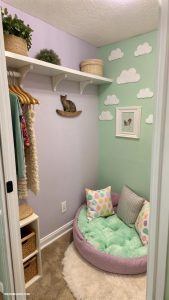 How to Convert a Closet into a Cat Room (10 Ideas)