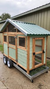 10 Amazing Pig House Ideas for Your Backyard Farm